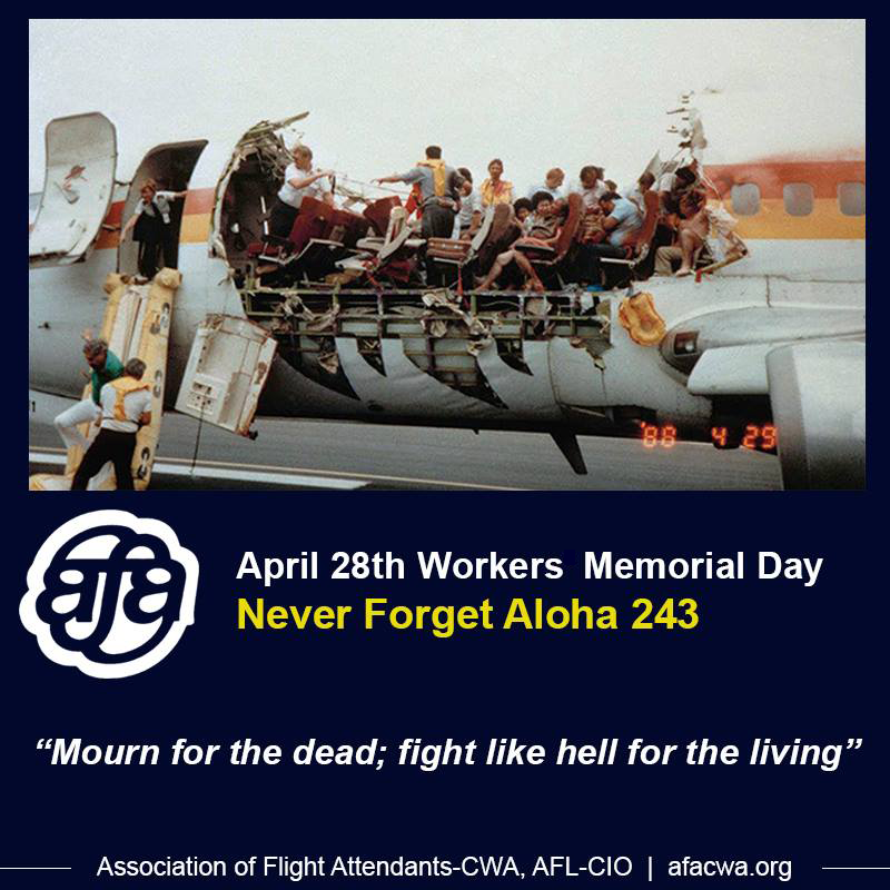 Flight Attendant Union Remembers Crew of Aloha Flight 243 on Workers ...