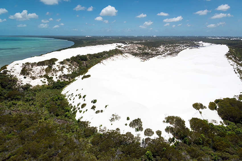Shelburne - Australian Conservation Foundation