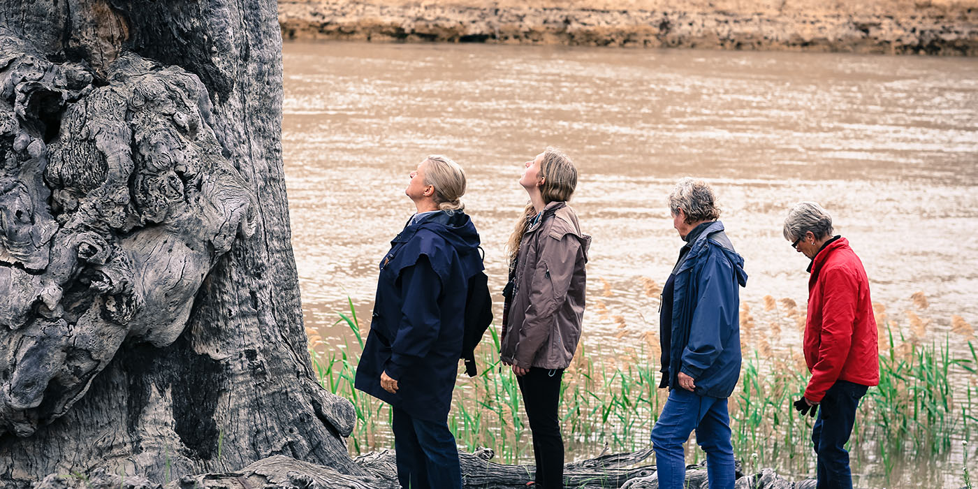 Australian Conservation Foundation