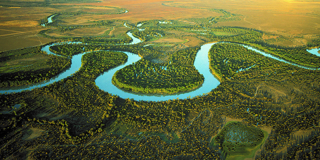 Australian Conservation Foundation