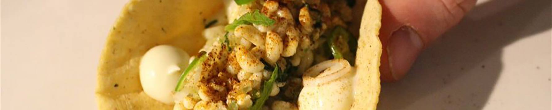 Earthworm - BUGSfeed