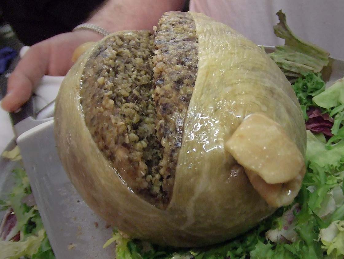 Nothing special about insects – most animal products are 'disgusting ...