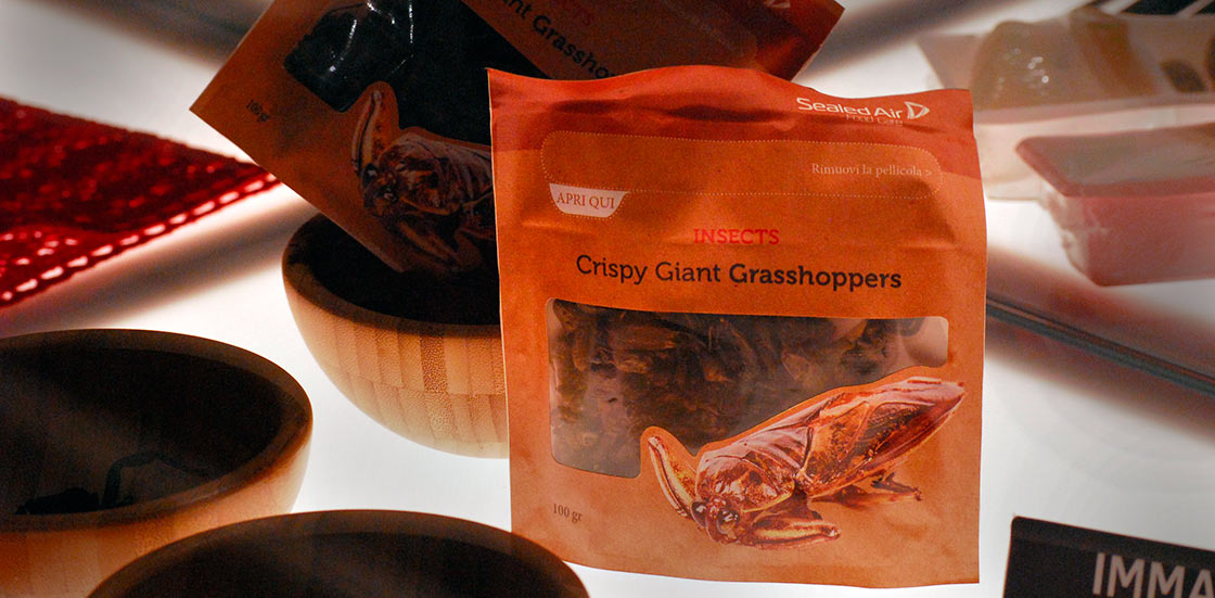 Ban them or boost them? The EU's struggle with edible insects - BUGSfeed