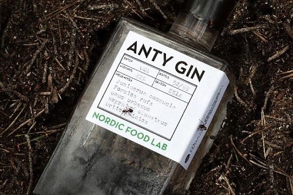 Juniper Gin with a touch of Ant - BUGSfeed