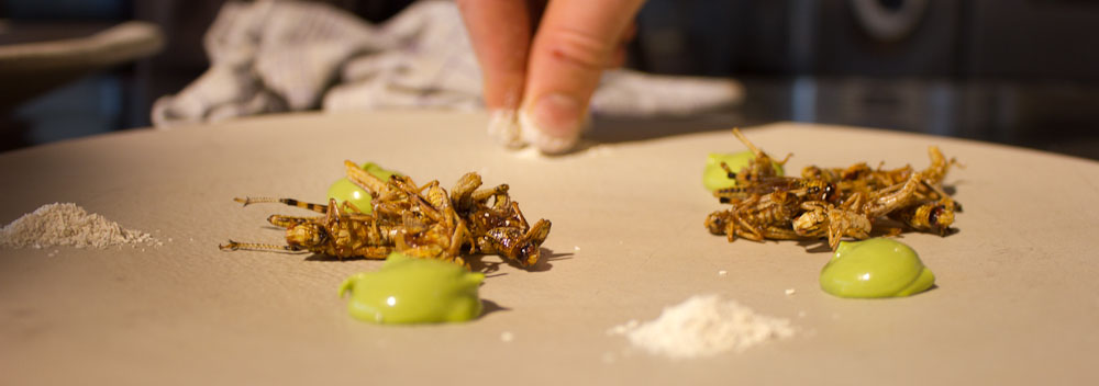 Roasted locusts with earthy ants and wild garlic - BUGSfeed