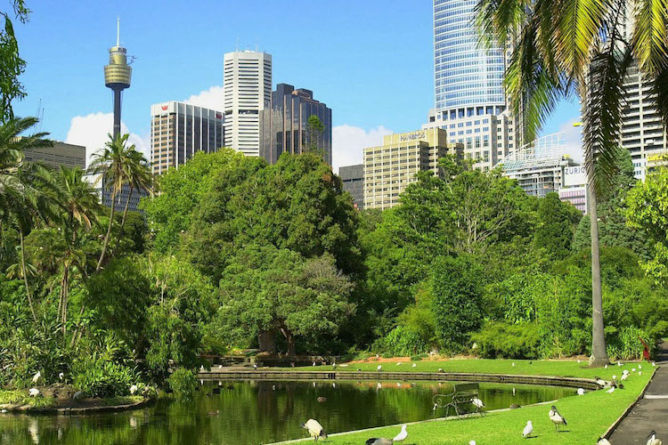 Sydney Wants Answers - Total Environment Centre