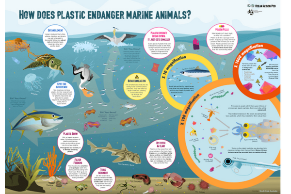 Passion Pod - Total Environment Centre