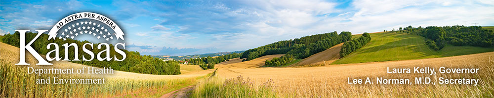 Kansas Department of Health and Environment: THE PROVIDERS - Bullfrog ...