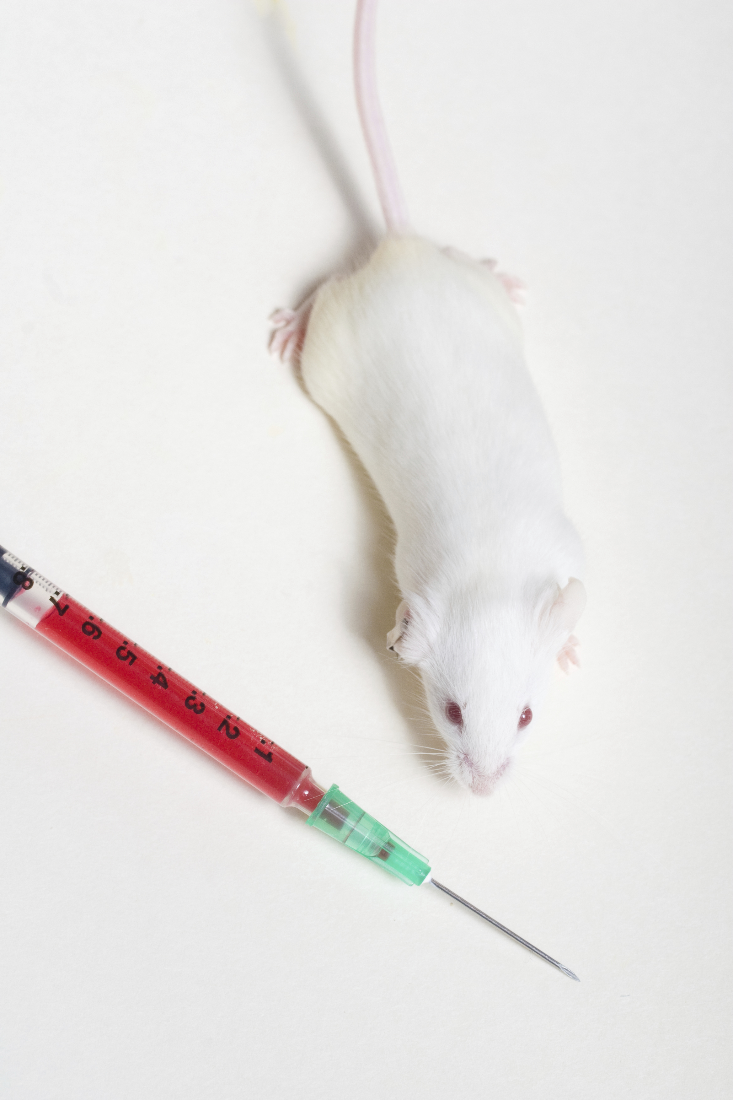 new drug partnership expands organ chips to replace animals - Citizens ...