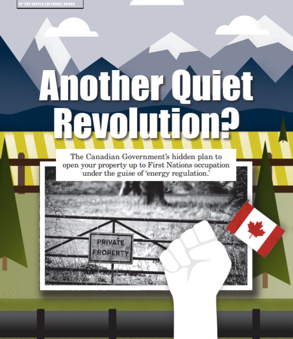 Another Quiet Revolution? - CAEPLA