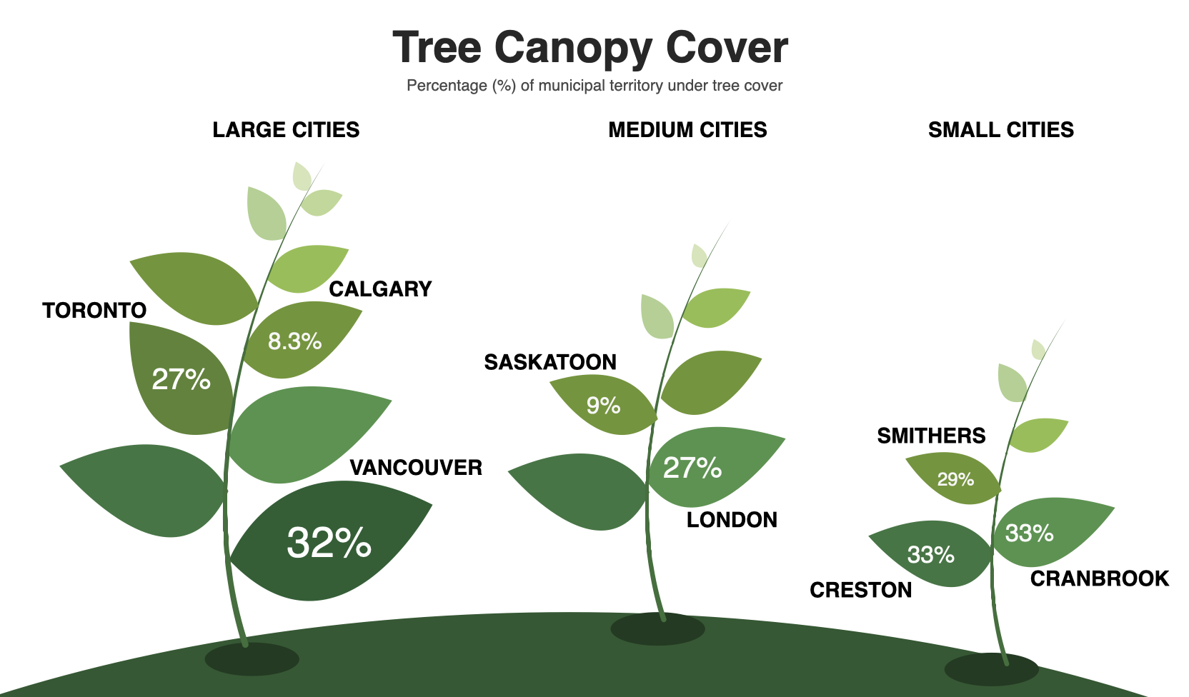 Trees: Allies in Climate Adaptation Part 1 - Calgary Climate Hub