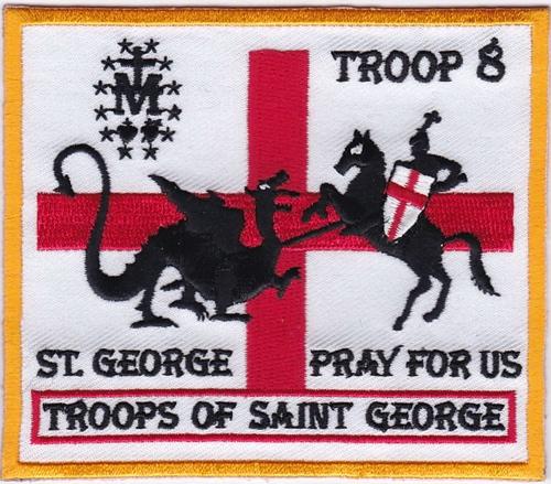Le cardinal Burke fait l'éloge des Troops of Saint George : un ...