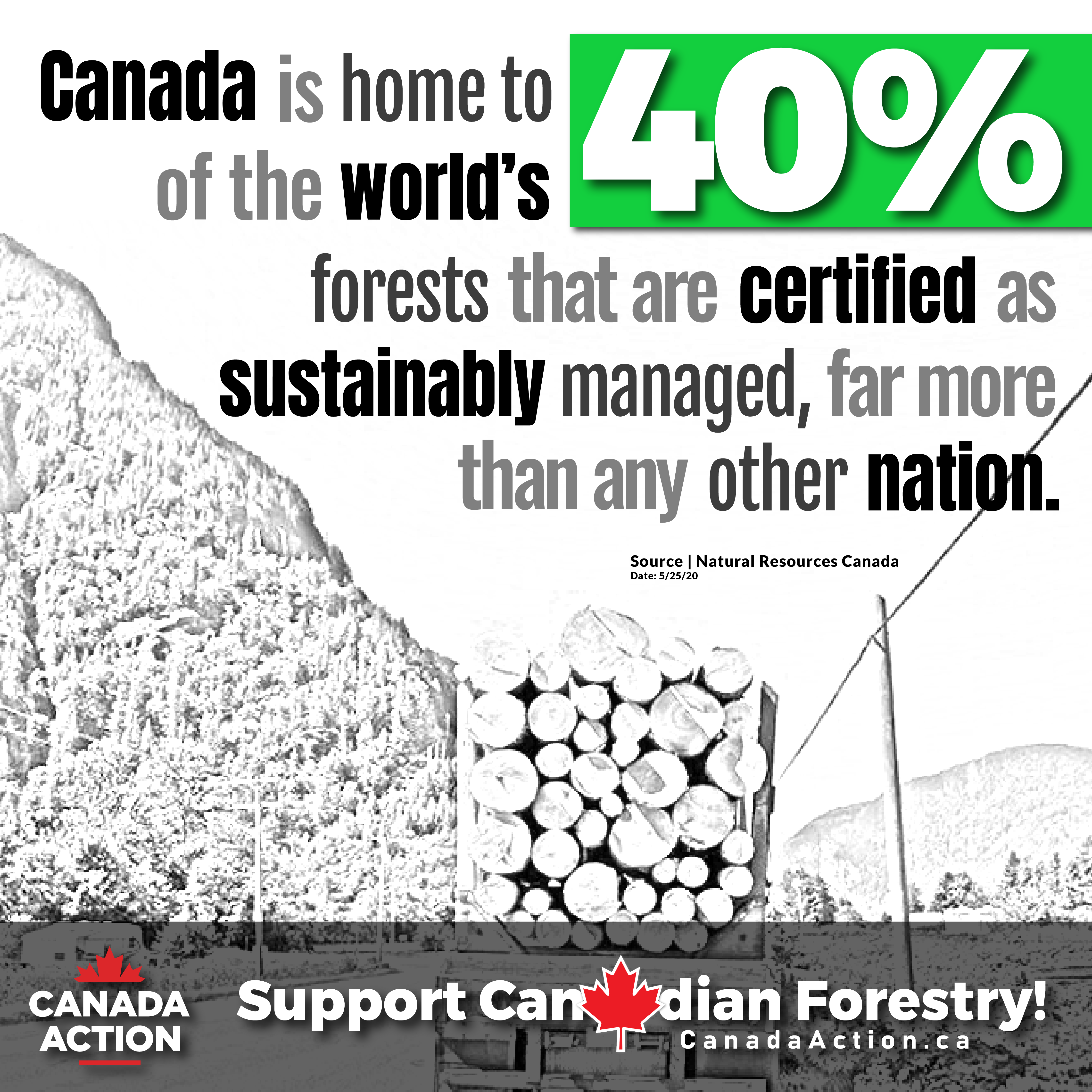 Forestry Infographics - Canada Action