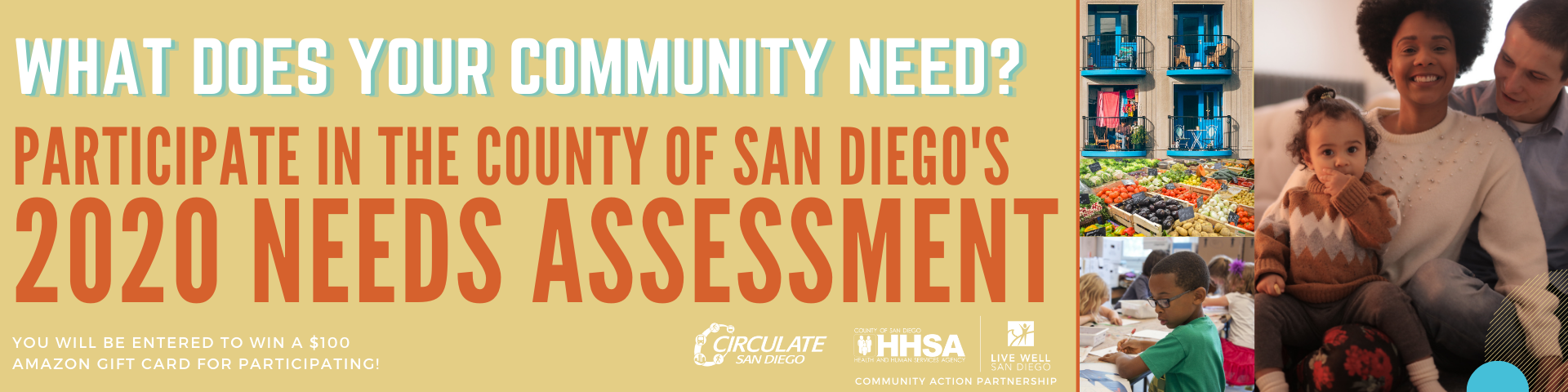 County Needs Assessment 2020
