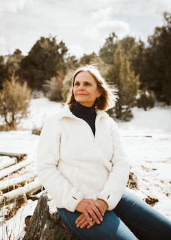Anne Hillerman Author Talk