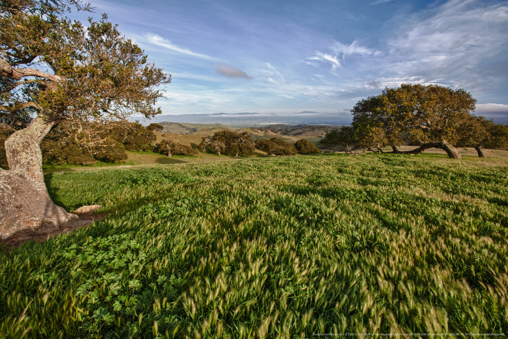 National Conservation Lands Virtual Backgrounds