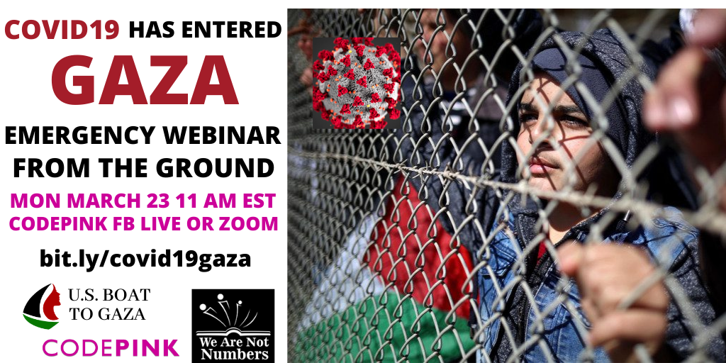 COVID-19 has entered Gaza, EMERGENCY WEBINAR from the ground - CODEPINK ...