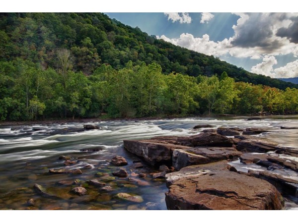 Potomac Overlook Park Hike - Columbia University Club of Washington, D.C.