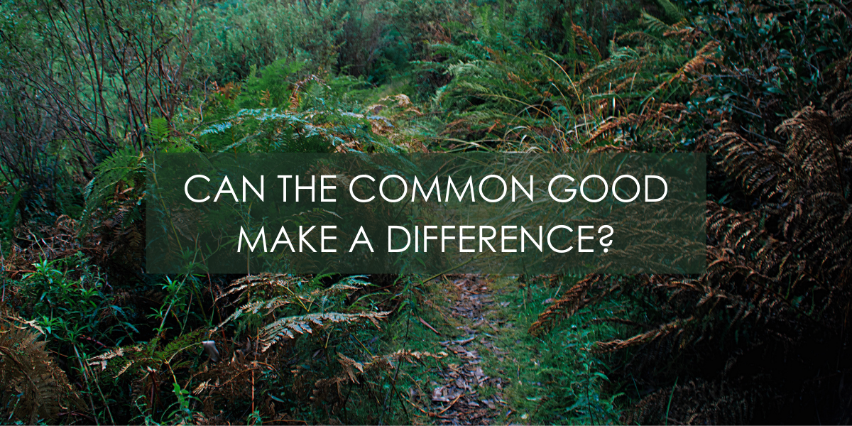 Can the Common Good really make a difference? - Common Good