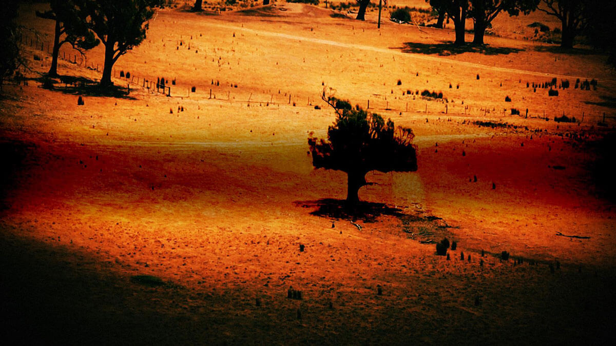 All of Creation Groans - Common Grace