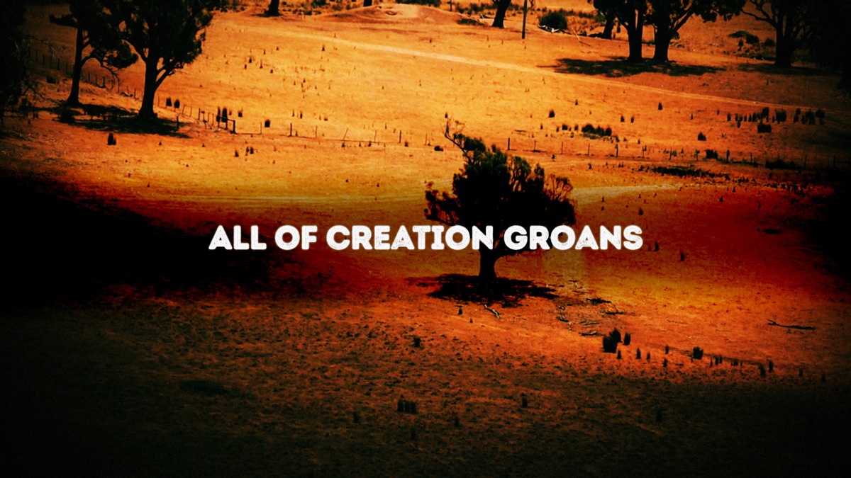 All of Creation Groans - Common Grace