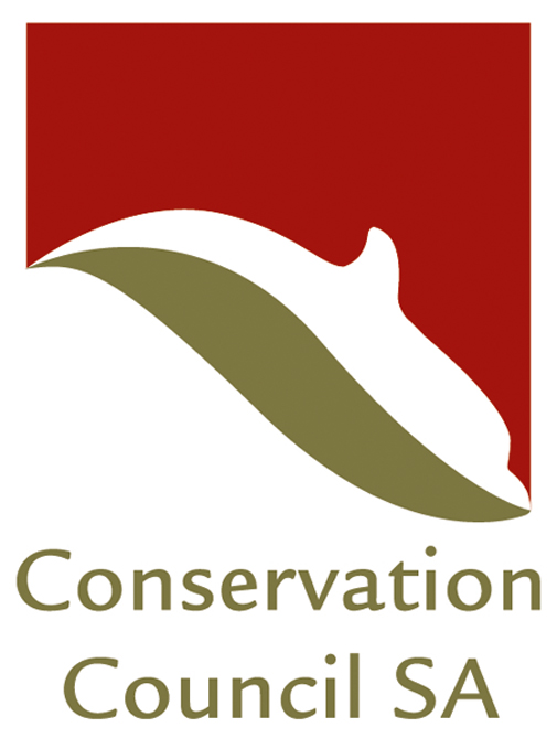 Ccsa Logo