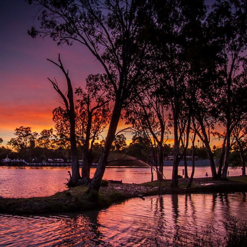 Healthy Rivers - Conservation Council SA