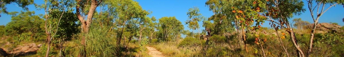 Conservation SA at the Nature Festival - Conservation Council SA