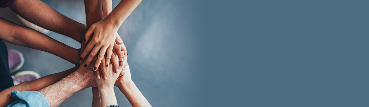 Political Campaign Website Builder, Non-Profit Website Building Agency