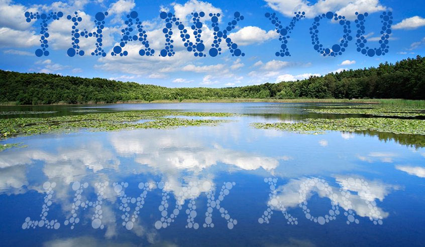 Thank You DLWID - Devils Lake Neighborhood Association