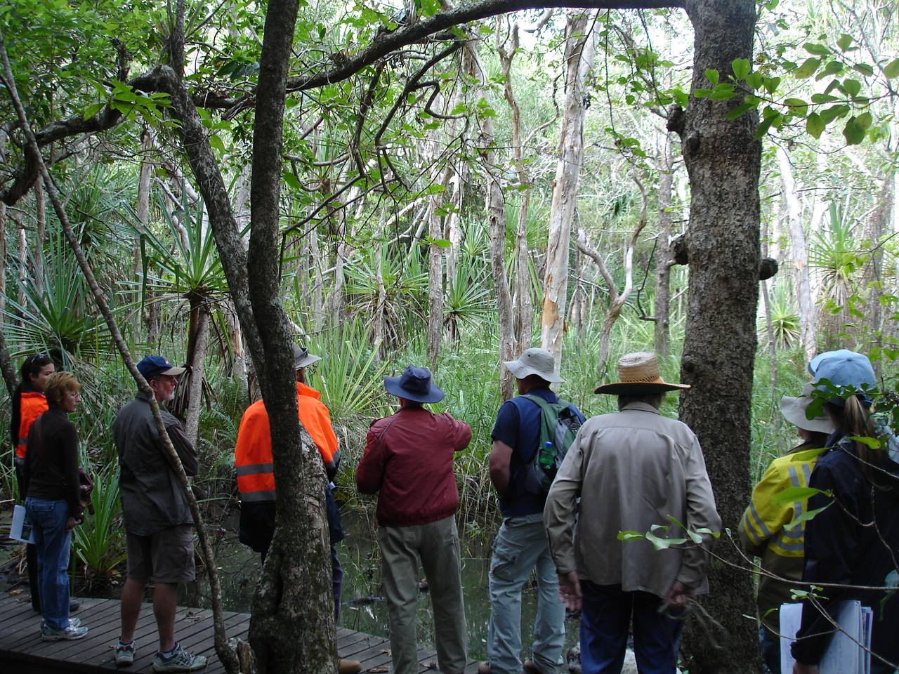 Slade Point Reserve Beautiful Walk - Mackay Conservation Group