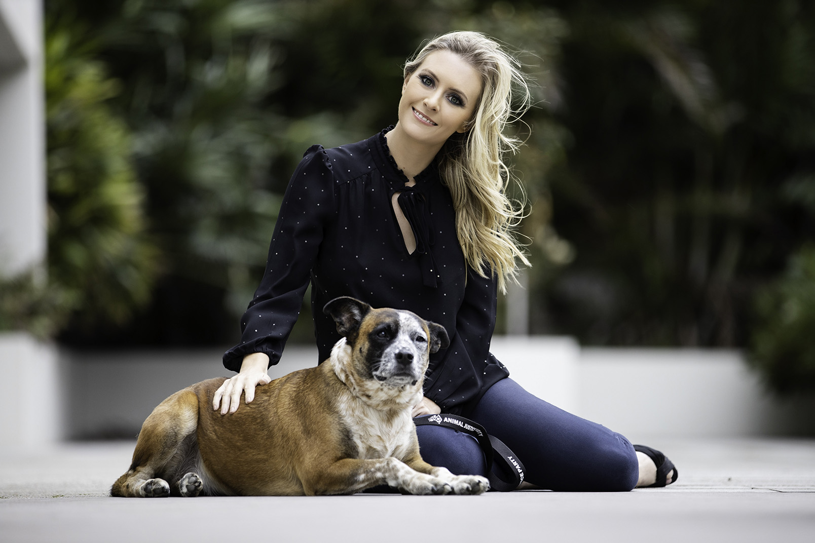 Webinar: "We don’t want our home to become Australia’s puppy farm ...