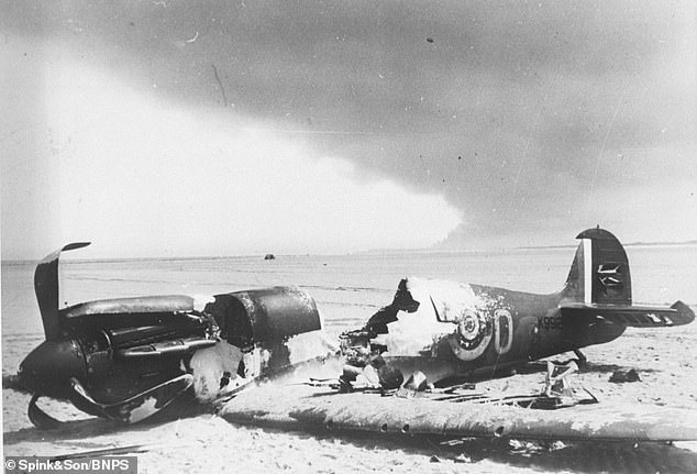 27458878-8240625-image-a-26_1587467919517.jpg?1587489876