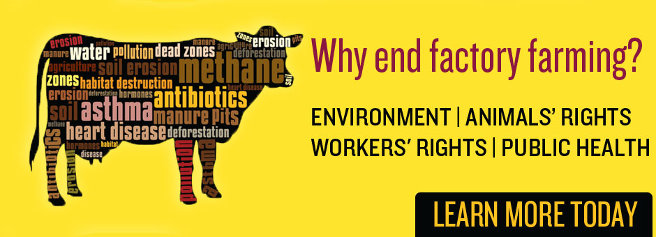 Anti Factory Farming Quotes