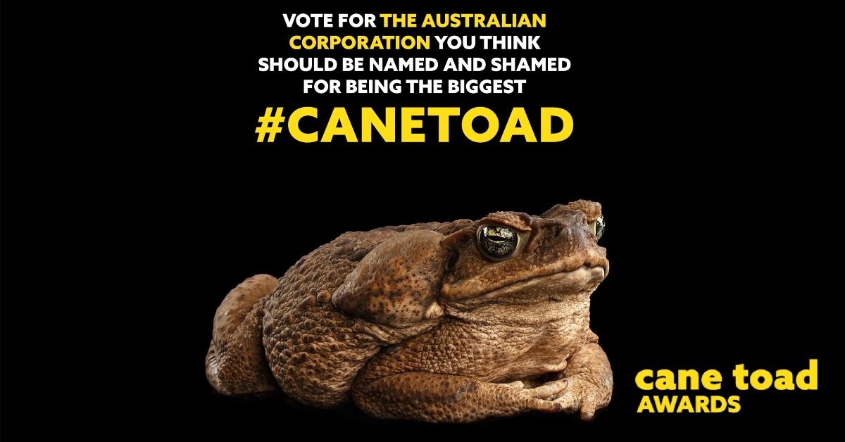 Cane Toad Award launched - Friends of the Earth Australia