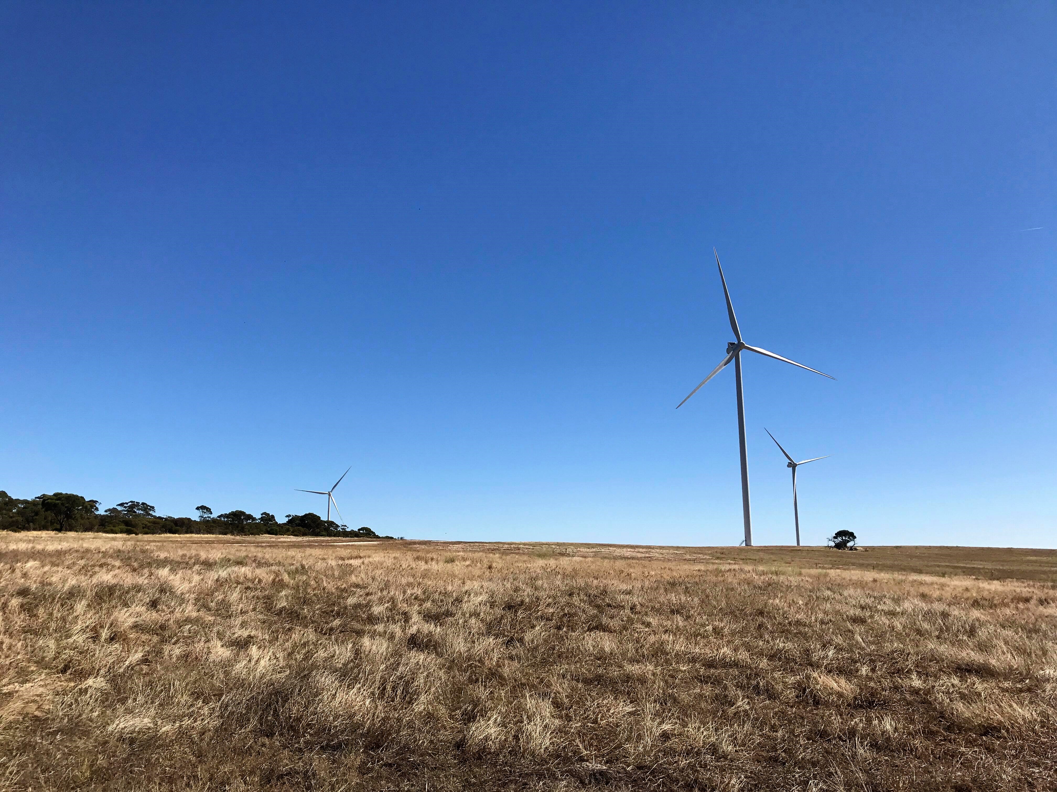 Benefits of newly opened Kiata wind farm shows it's time for Turnbull ...