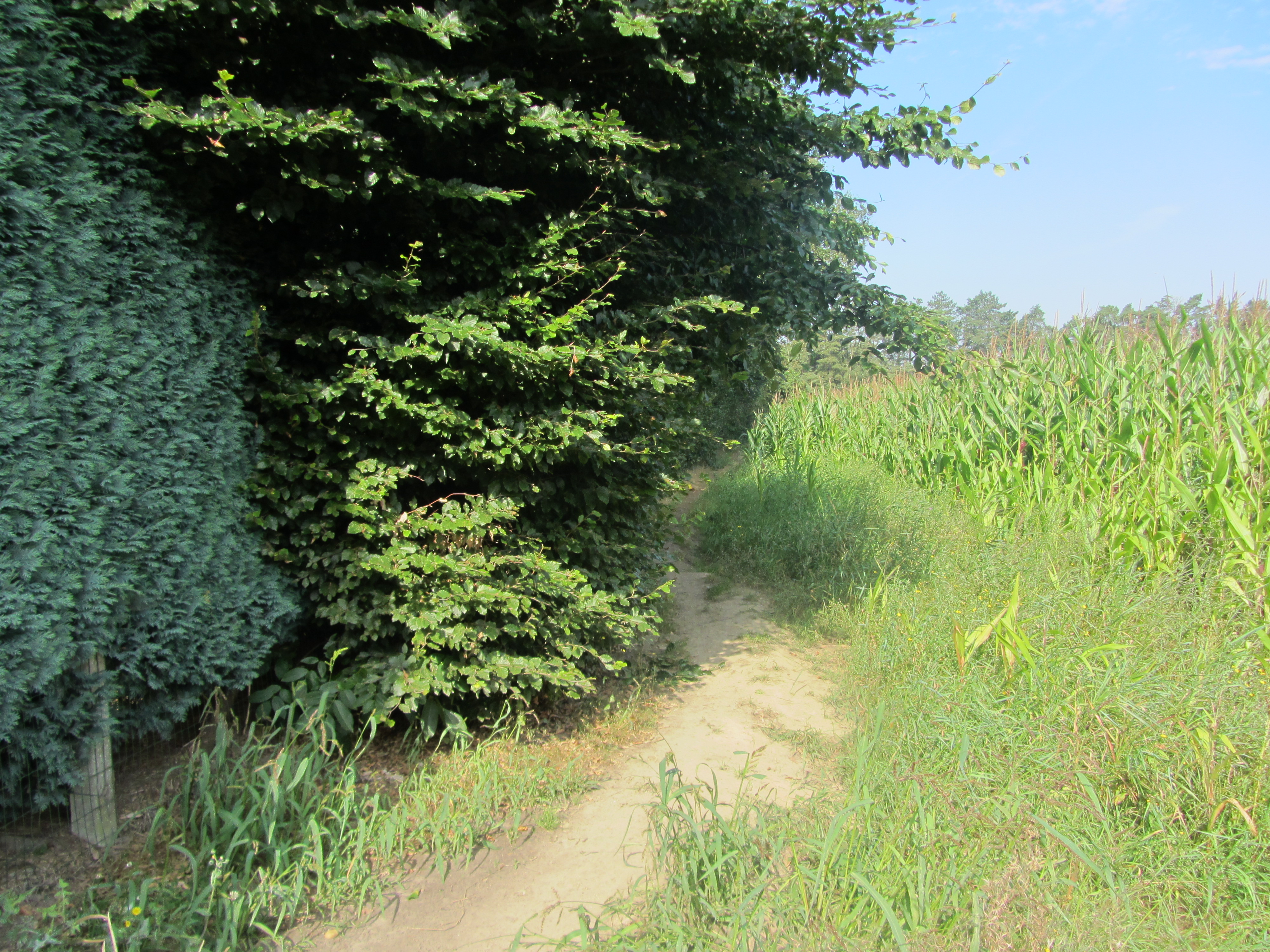Bermen: onze kleine natuurreservaten - Groen Oud-Heverlee