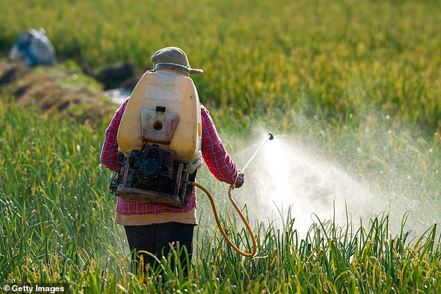 Nearly 31% of global farmland is at ‘high risk’ of pesticide pollution ...