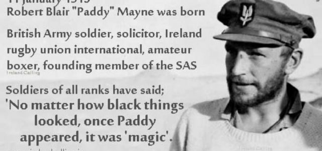 paddy.jpg?1524131354