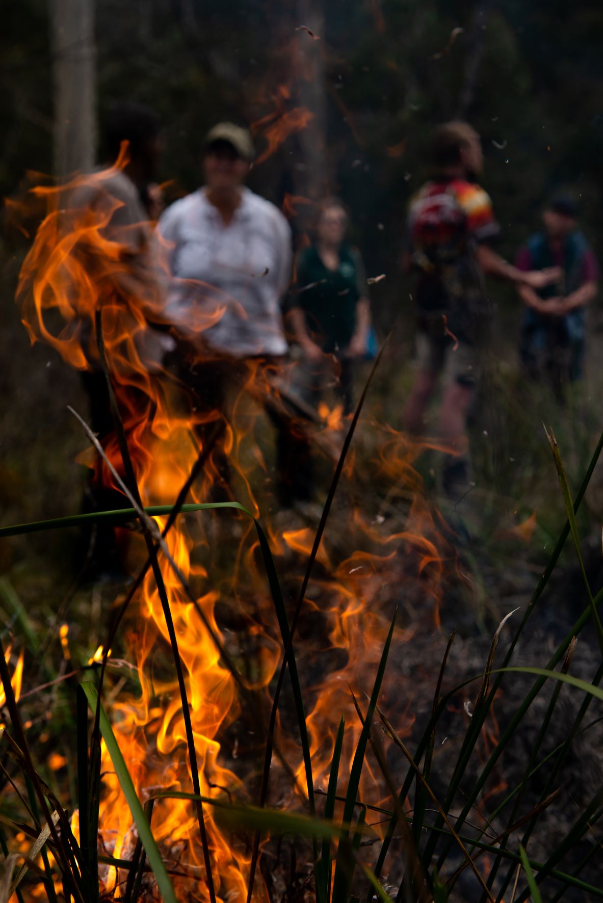 Knowledge Shared at Cultural Burning Workshop - Landcare Tasmania