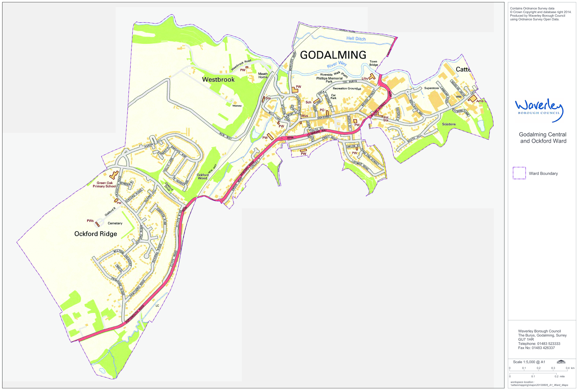 Godalming Town Council Election