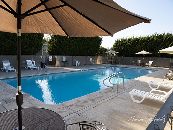 LMVC Pool Reopening - Update on Opening, Closing Procedures - Lake ...