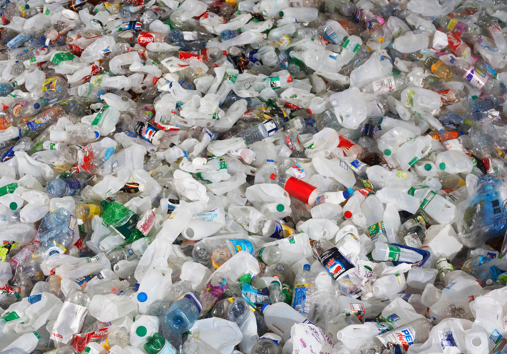 Environmentalism in Action: Understanding Environmental Justice and ...