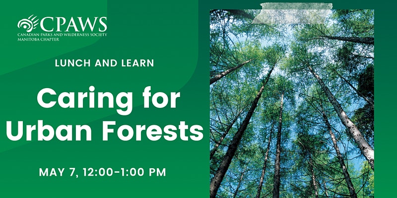 Caring for Urban Forests: Why Trees Matter - London Environmental Network