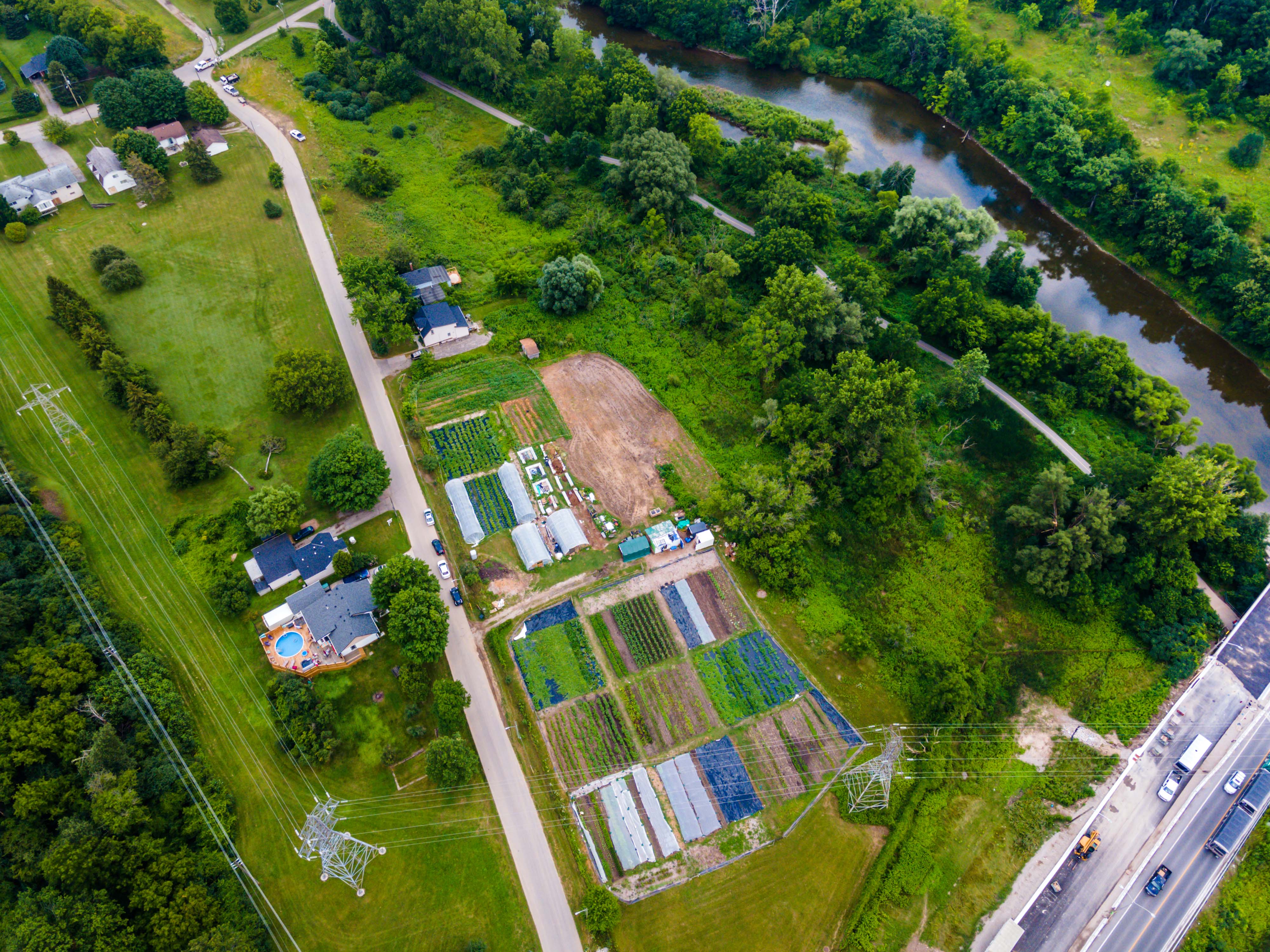 Invasive Species Management - London Environmental Network