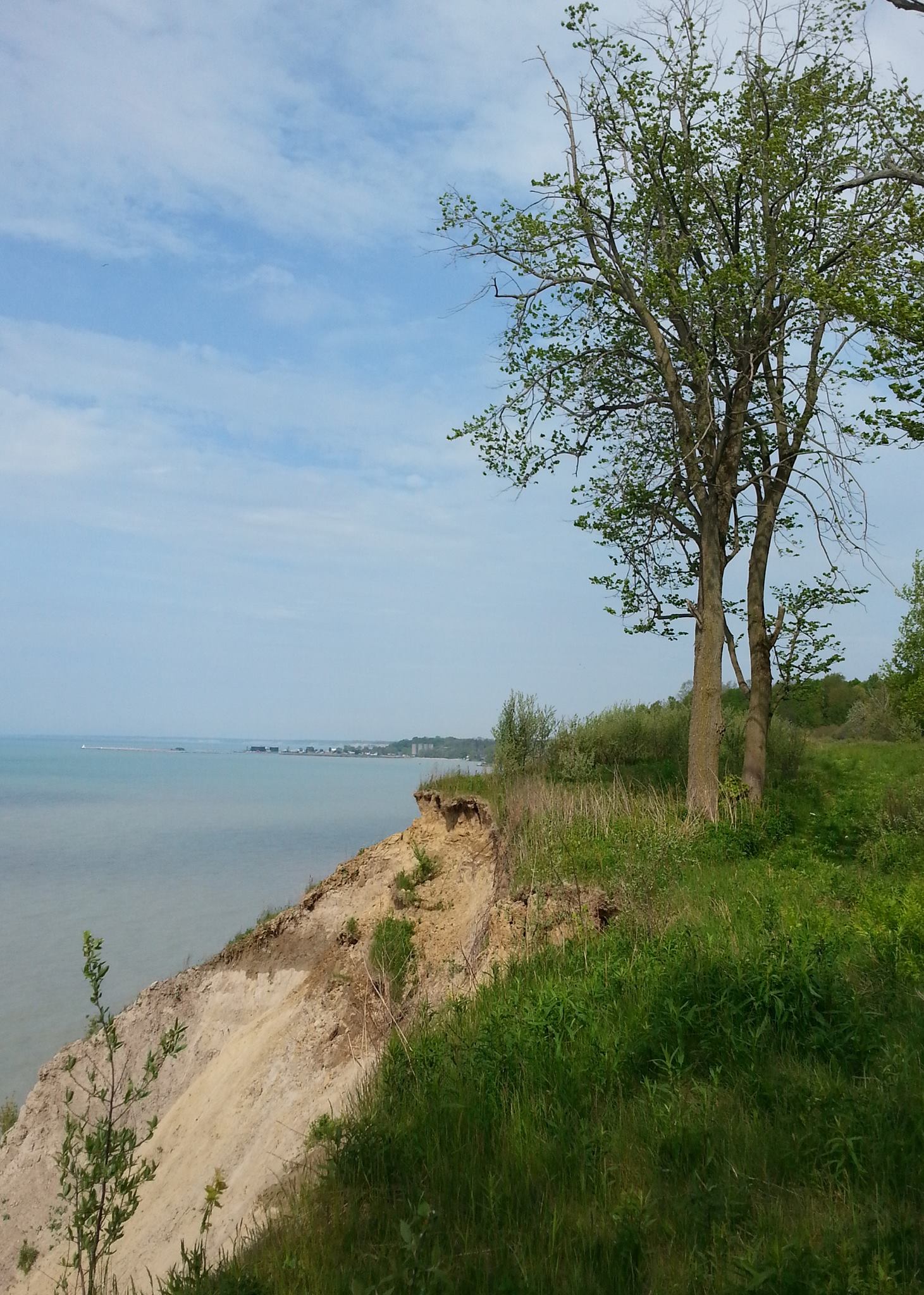 Hawk Cliff Woods Adopt-a-Patch Workshop - London Environmental Network