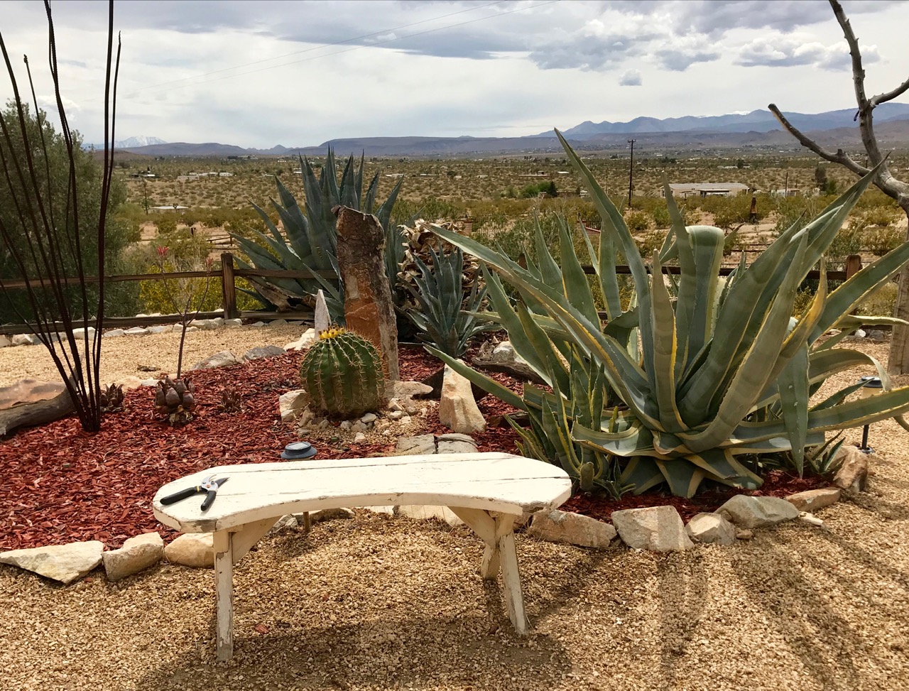 Here Are the Winning Landscape Tour Essays - Morongo Basin Conservation ...