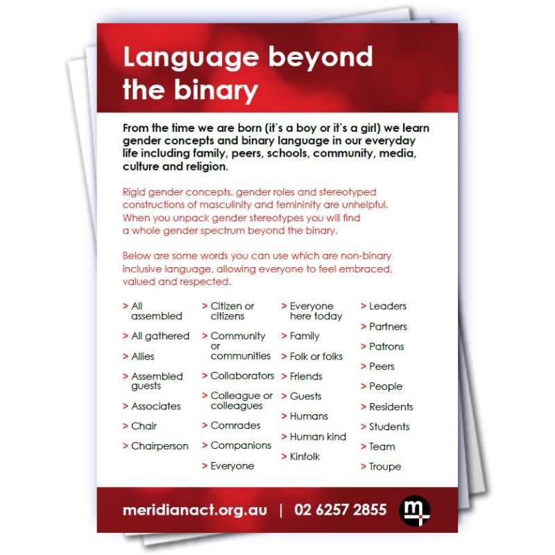 Language Beyond the Binary Poster - Meridian