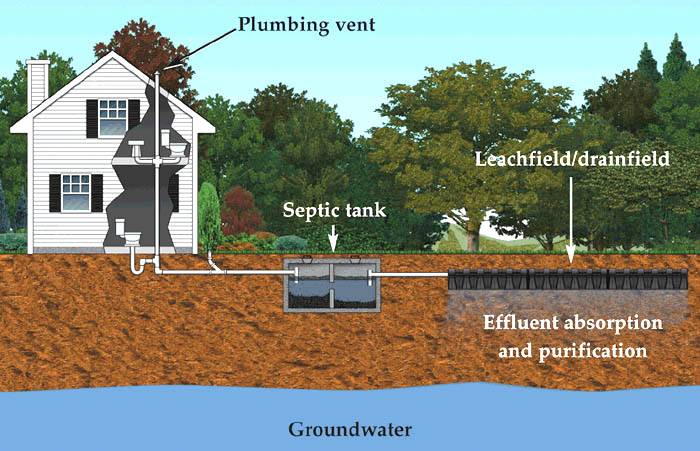 Septic Skeptics: What's Really Going on in the Tank in your Backyard ...