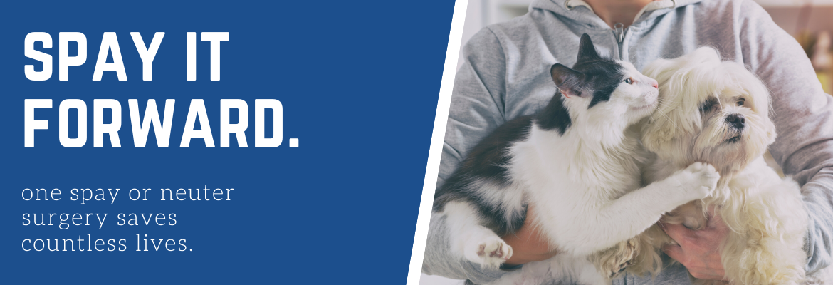 Help us save lives through low-cost spay & neuter.